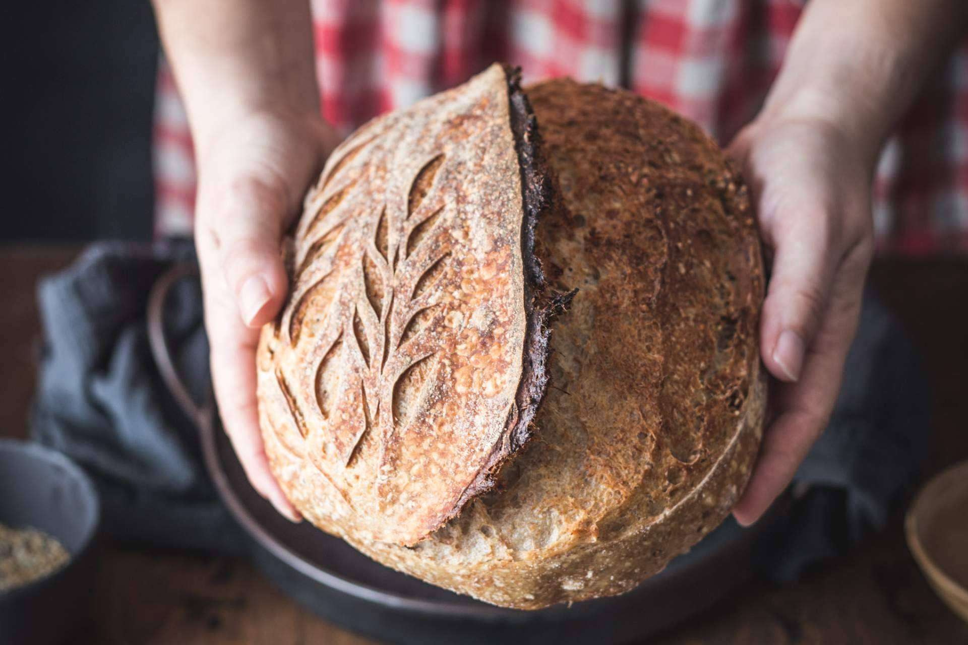 ¿Cómo realizar pan casero con masa madre?, con la ayuda de Masas de Madre