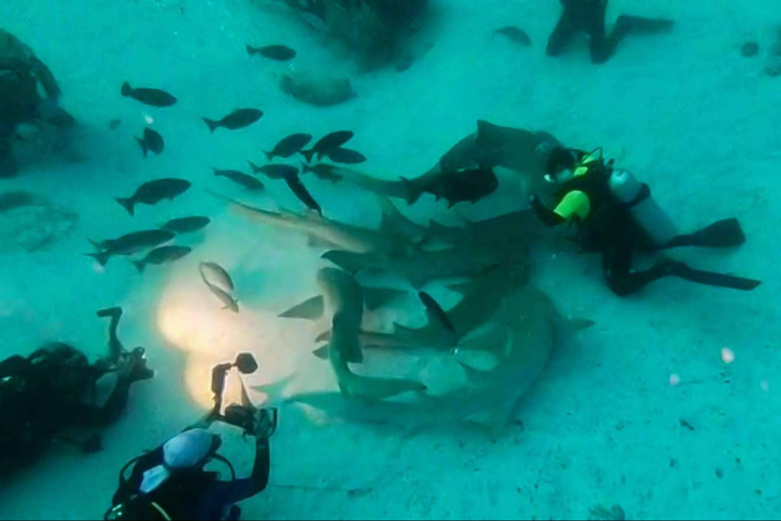 Disfrutar de cruceros de buceo por Maldivas de la mano de Drop Dive ...