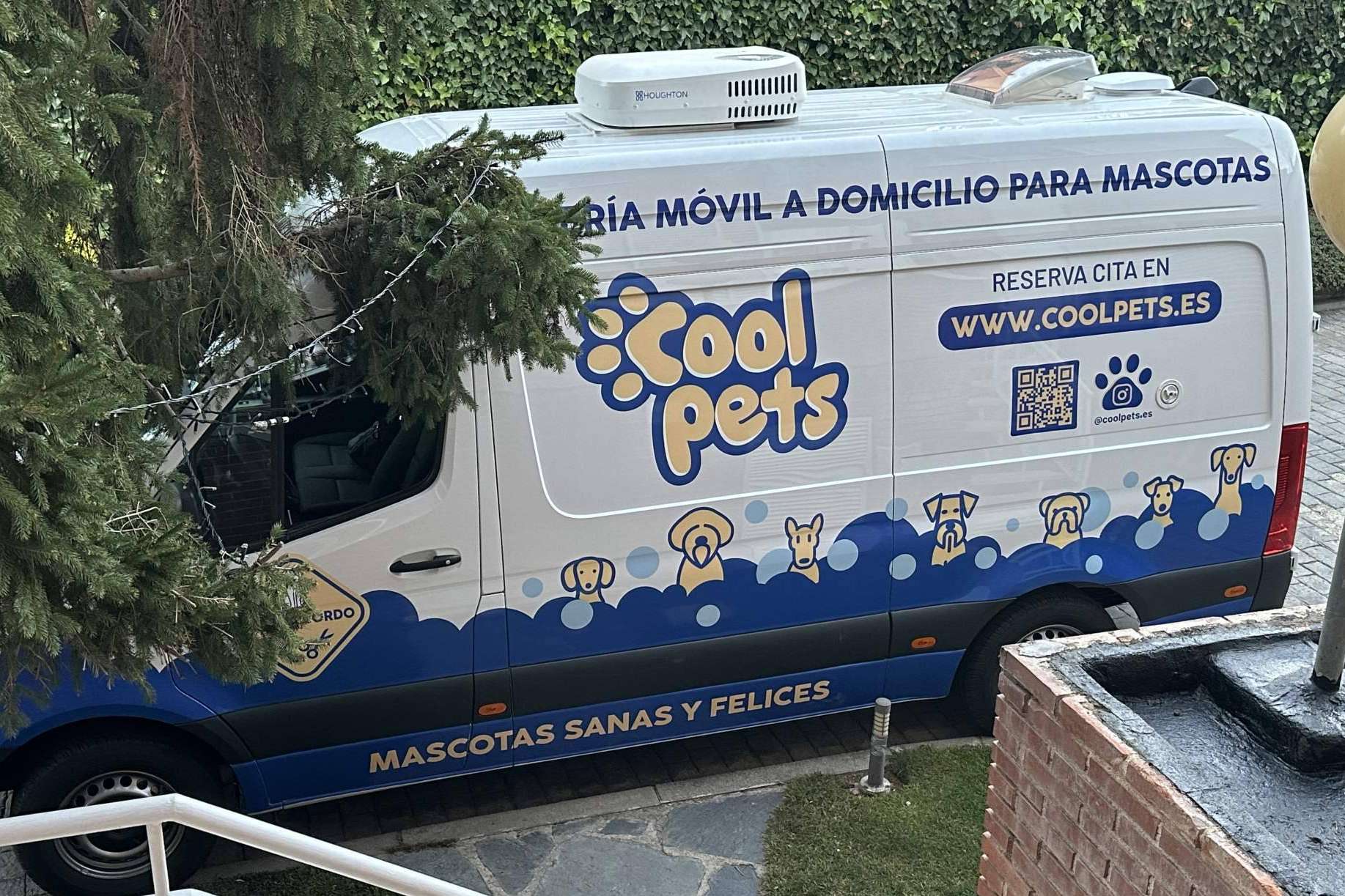 Cool Pets, una nueva dimensión en el cuidado e higiene de las mascotas ...